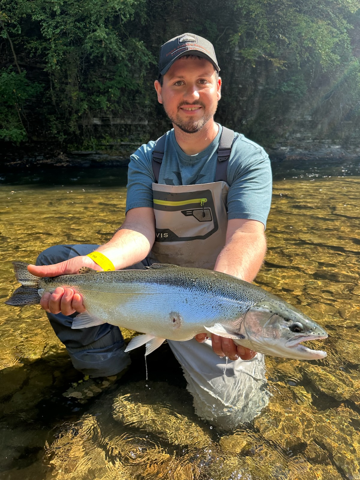 - Douglaston Salmon Run
