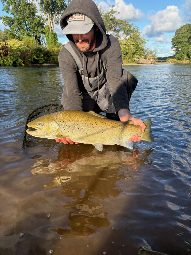 - Douglaston Salmon Run