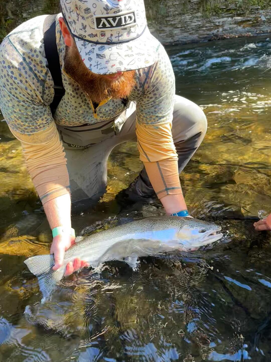 - Douglaston Salmon Run